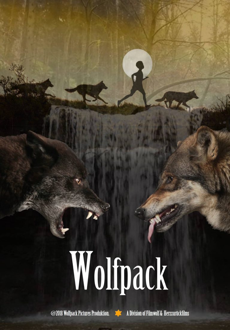 Filmtiere Film Wölfe | Filmproduktion | Green Screen Animal Footage